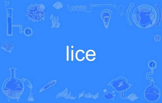 lice_百度百科