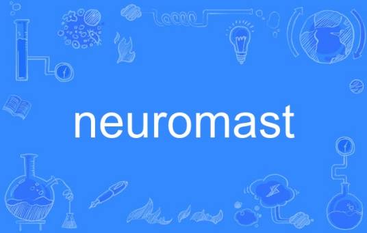 neuromast_百度百科