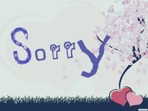 So sorry（英语单词）_百度百科