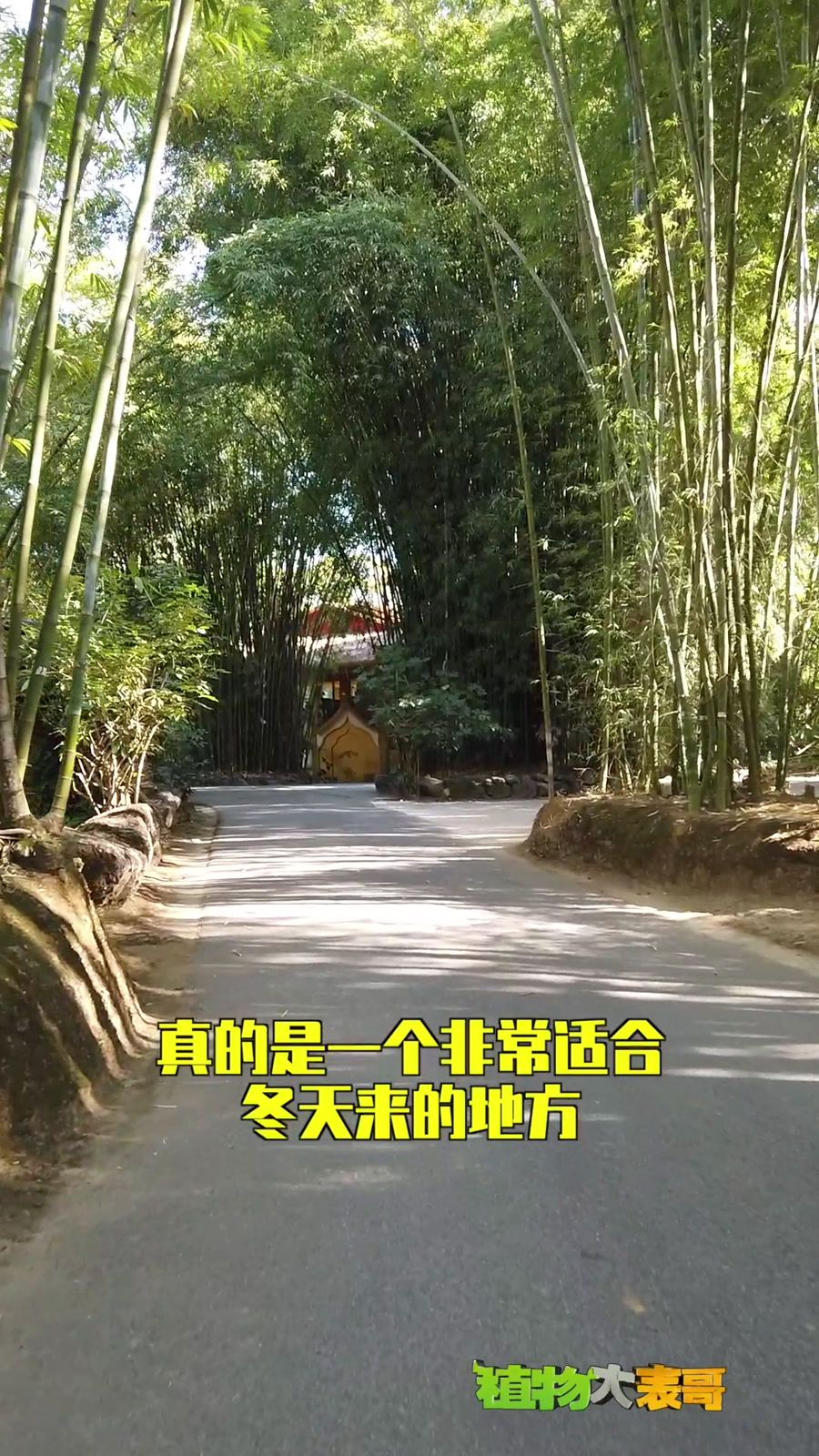 带大家一起来逛云南的勐巴娜西珍奇园~_科星球_百度百科