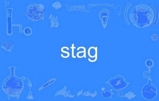 stag（英语单词）_百度百科