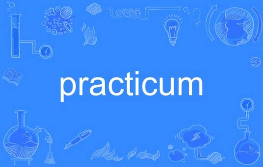 practicum_百度百科