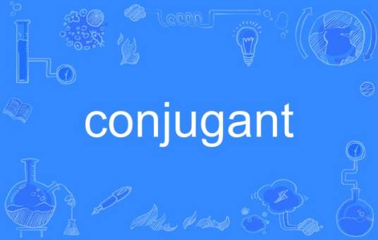 conjugant_百度百科