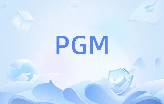PGM（图像格式）_百度百科