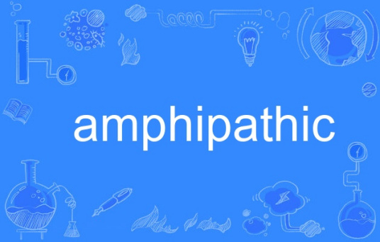 amphipathic_百度百科
