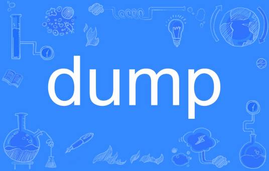 dump（英语单词）_百度百科