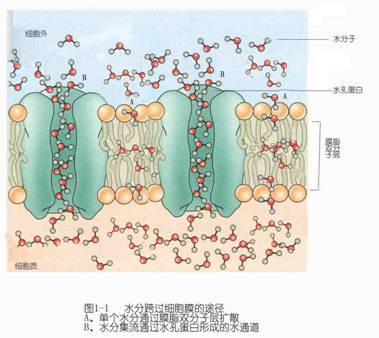 束缚水_百度百科