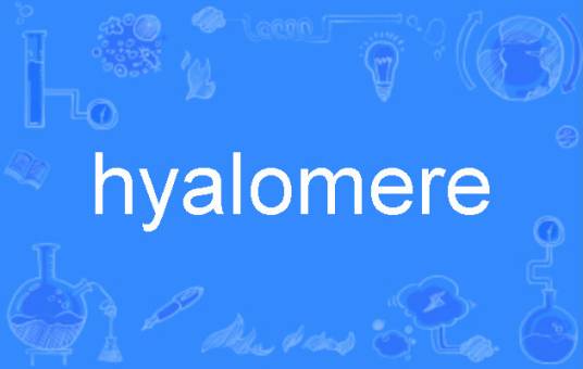 hyalomere_百度百科