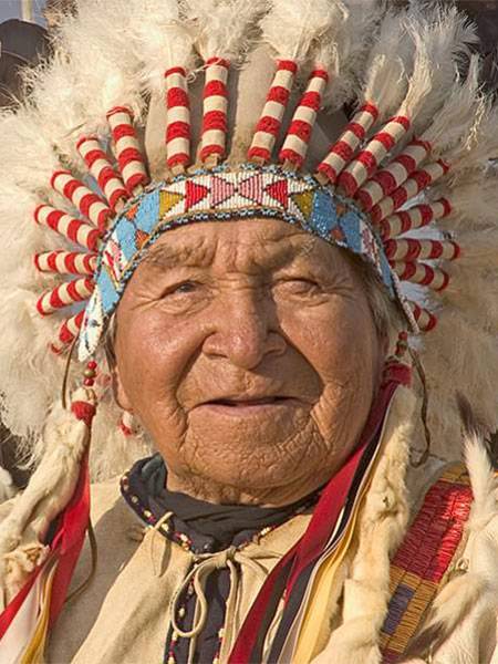 Dave Bald Eagle_百度百科