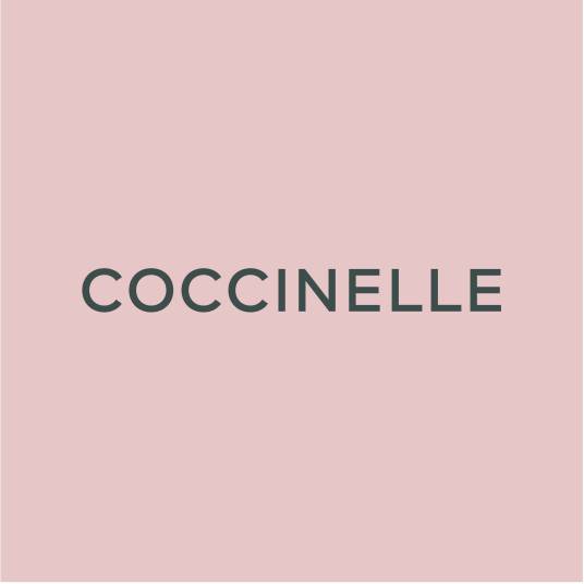 Coccinelle_百度百科