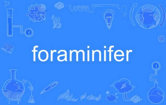 foraminifer_百度百科