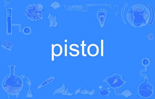 Pistol（英文单词）_百度百科