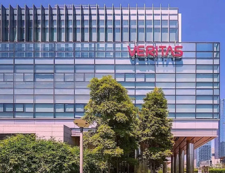 VERITAS（数据管理公司）_百度百科