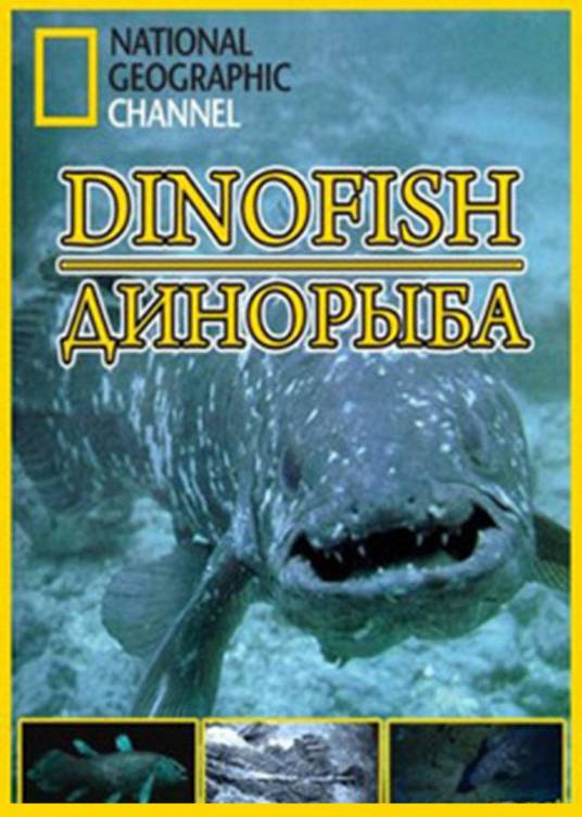 活化石鱼_百度百科