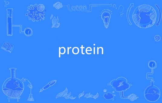 protein_百度百科