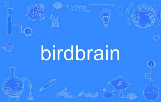 birdbrain_百度百科