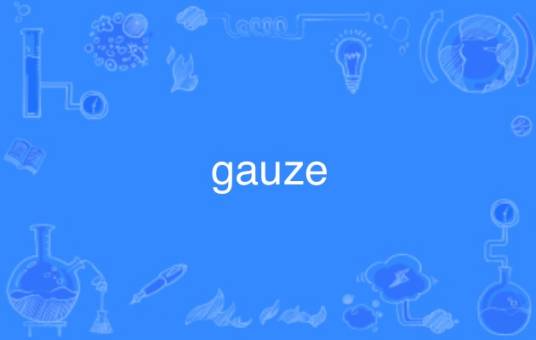 Gauzy（英语单词）_百度百科