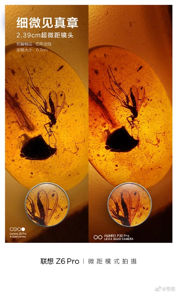 常程晒联想Z6 Pro微距样张对比华为P30 Pro_百科TA说