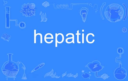 hepatic_百度百科