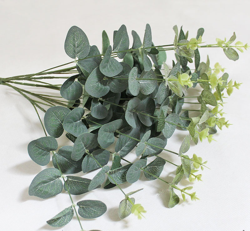 尤加利的功效作用有哪些？_百科TA说