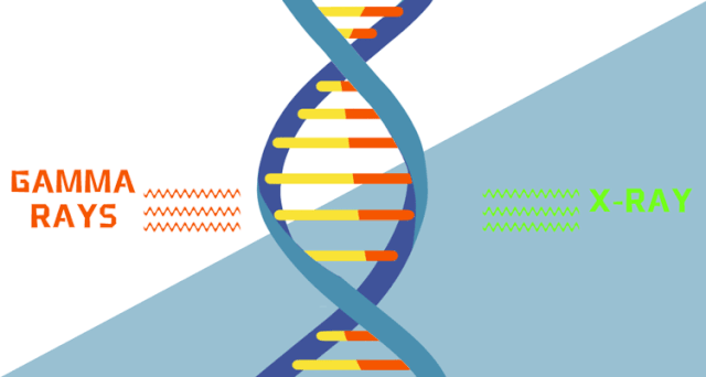 全身DNA断裂的一瞬间，是大脑感觉肉体散架了，还是肉体觉得大脑_百科TA说