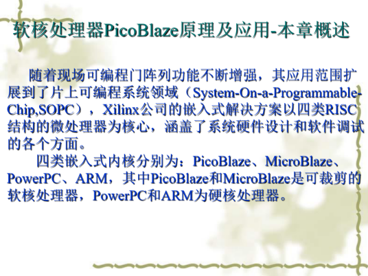 PicoBlaze处理器_百度百科