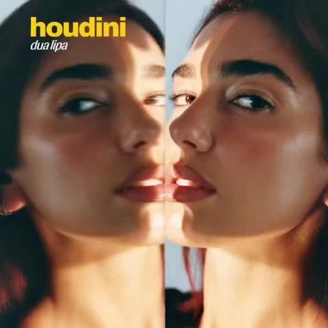 Houdini（2023年杜阿·利帕演唱的歌曲）_百度百科
