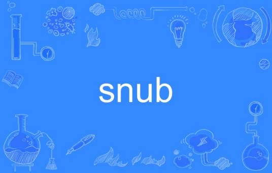 snub_百度百科