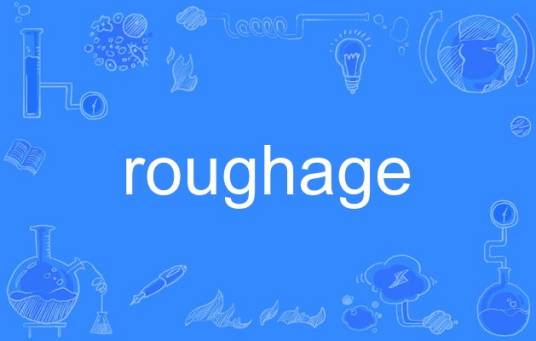 roughage_百度百科