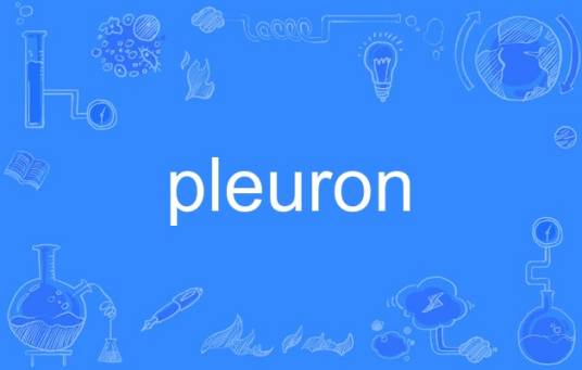 pleuron_百度百科