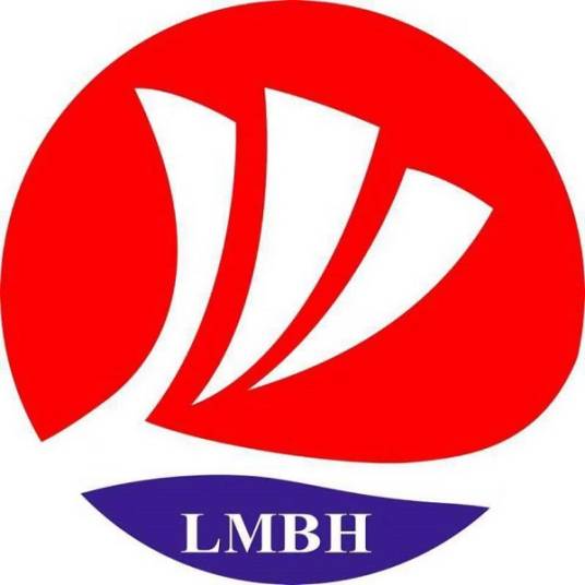 LMBH_百度百科