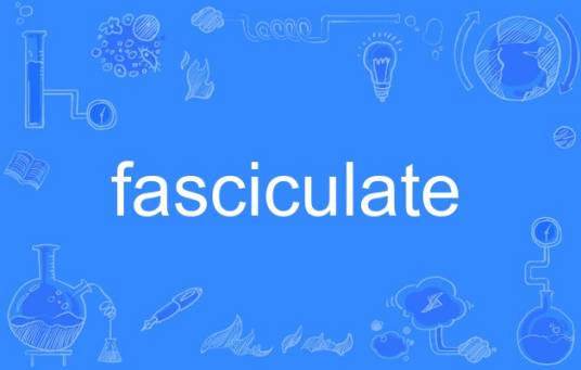 fasciculate_百度百科