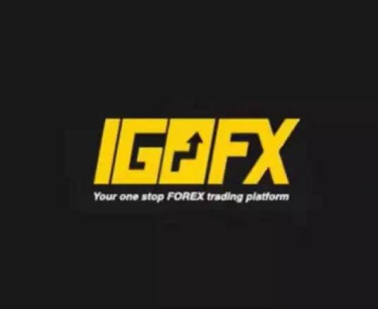 IGOFX诈骗案_百度百科