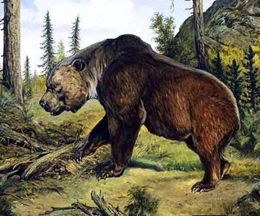 熊齿兽_百度百科