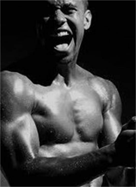 Brandon Hirsch_百度百科