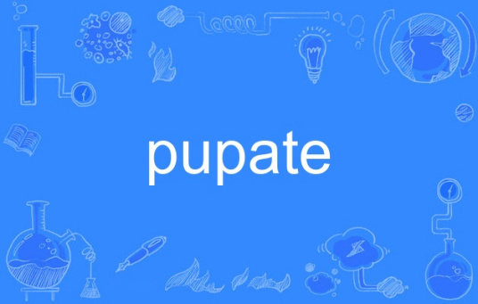 pupate_百度百科