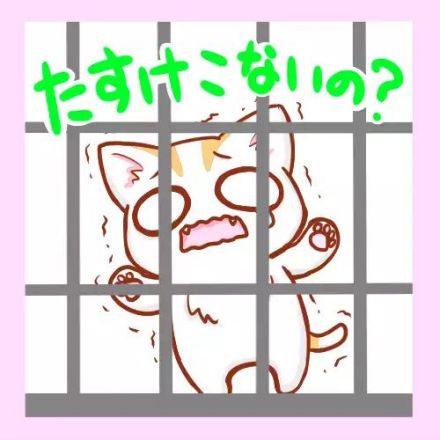 SCP-1316_百度百科