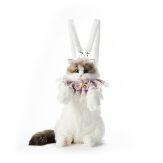 Chongker（玩具品牌）_百度百科