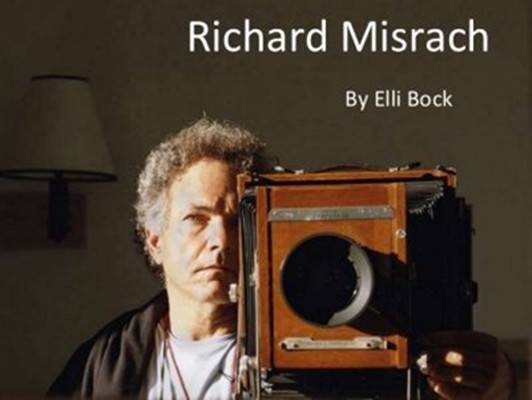 Richard Misrach_百度百科