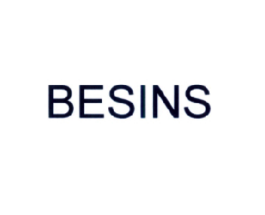 BESINS_百度百科