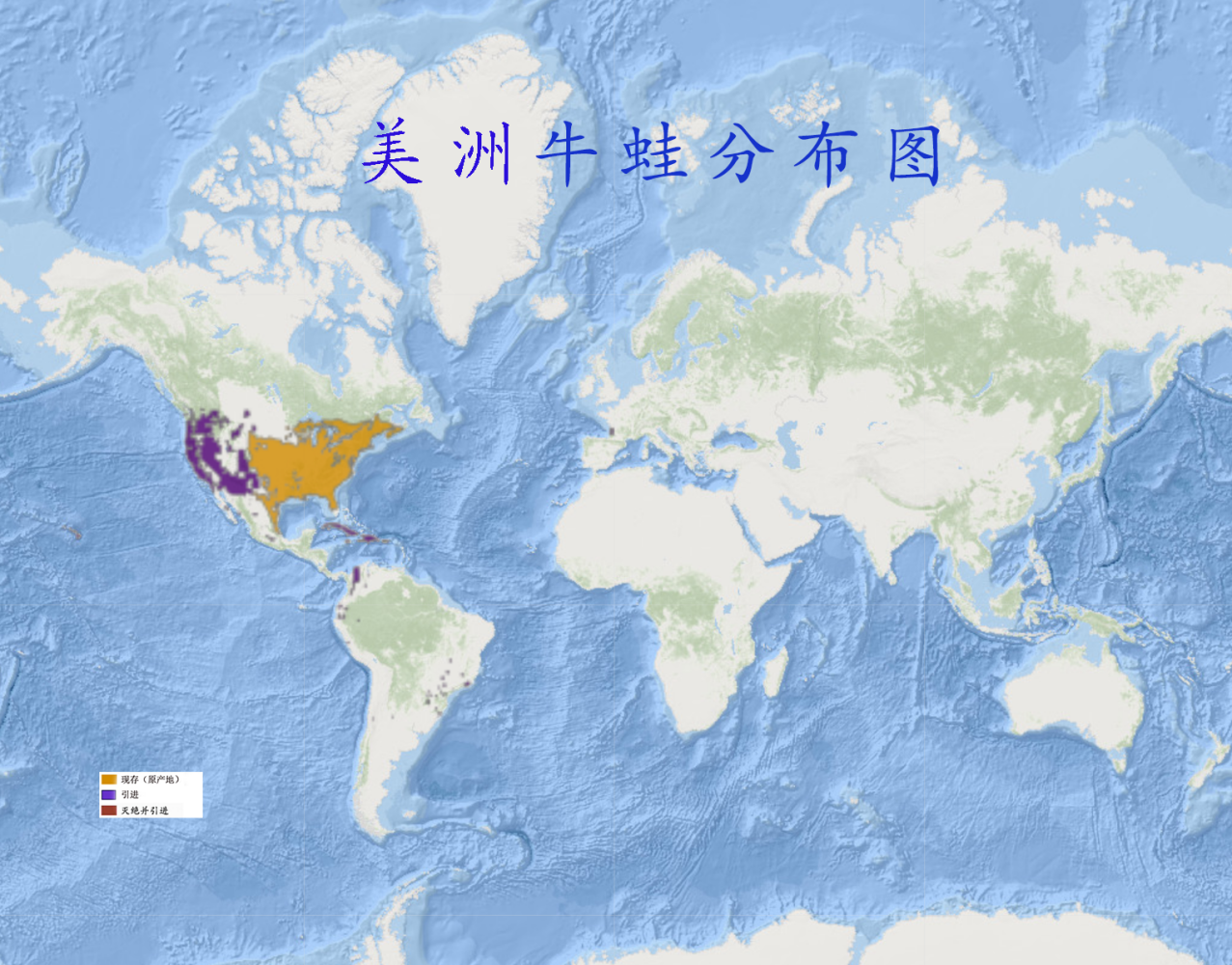 美洲牛蛙_百度百科