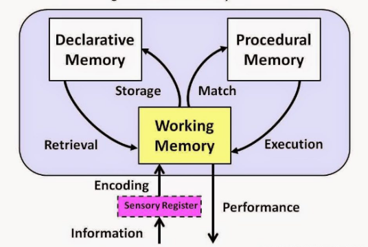 ACT模型_百度百科