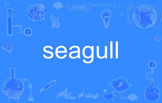 SEAGULL（英文单词）_百度百科