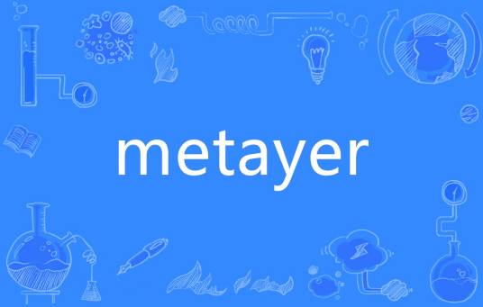 metayer_百度百科