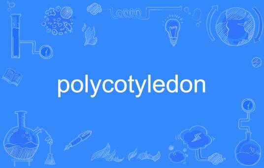 polycotyledon_百度百科