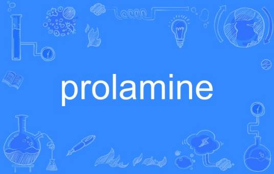 prolamine_百度百科