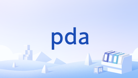 pda（英语俚语）_百度百科