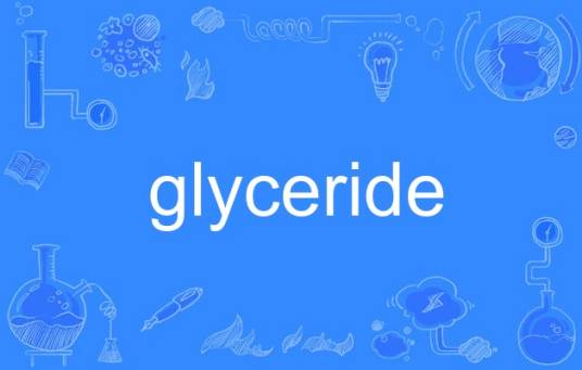 glyceride_百度百科