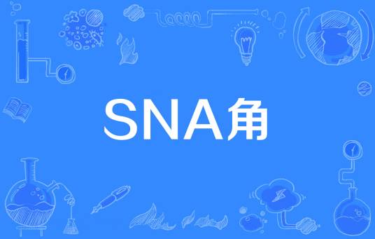 SNA角_百度百科