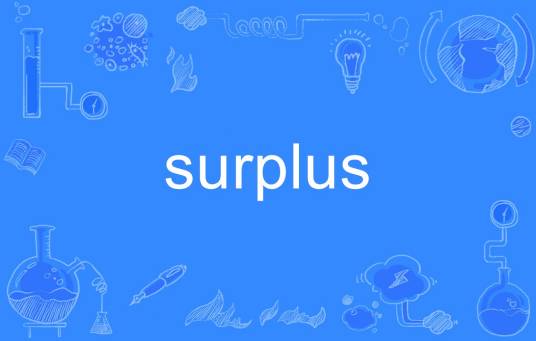 surplus（英语单词）_百度百科